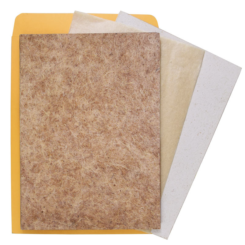 Collections - Green Banana Paper